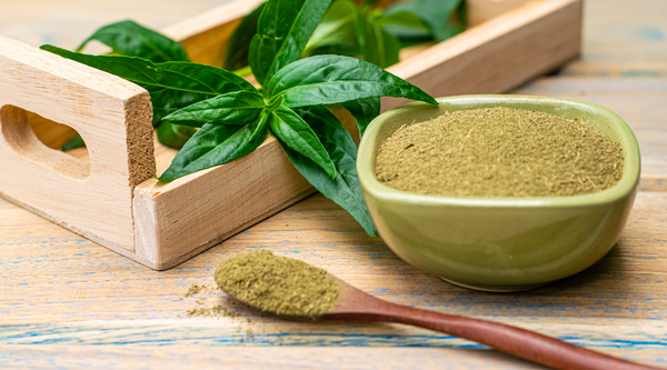 ParActin® Andrographis Strengthening Your Immune Defense – NHR Science